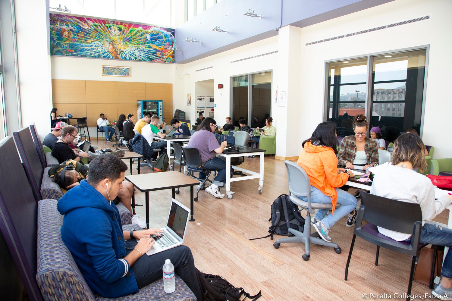 Graduation and Transfer Success Stories